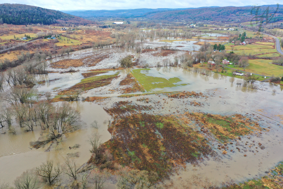 Nature’s Sponge: Floodplain Wetlands in Action | The Wetland Trust