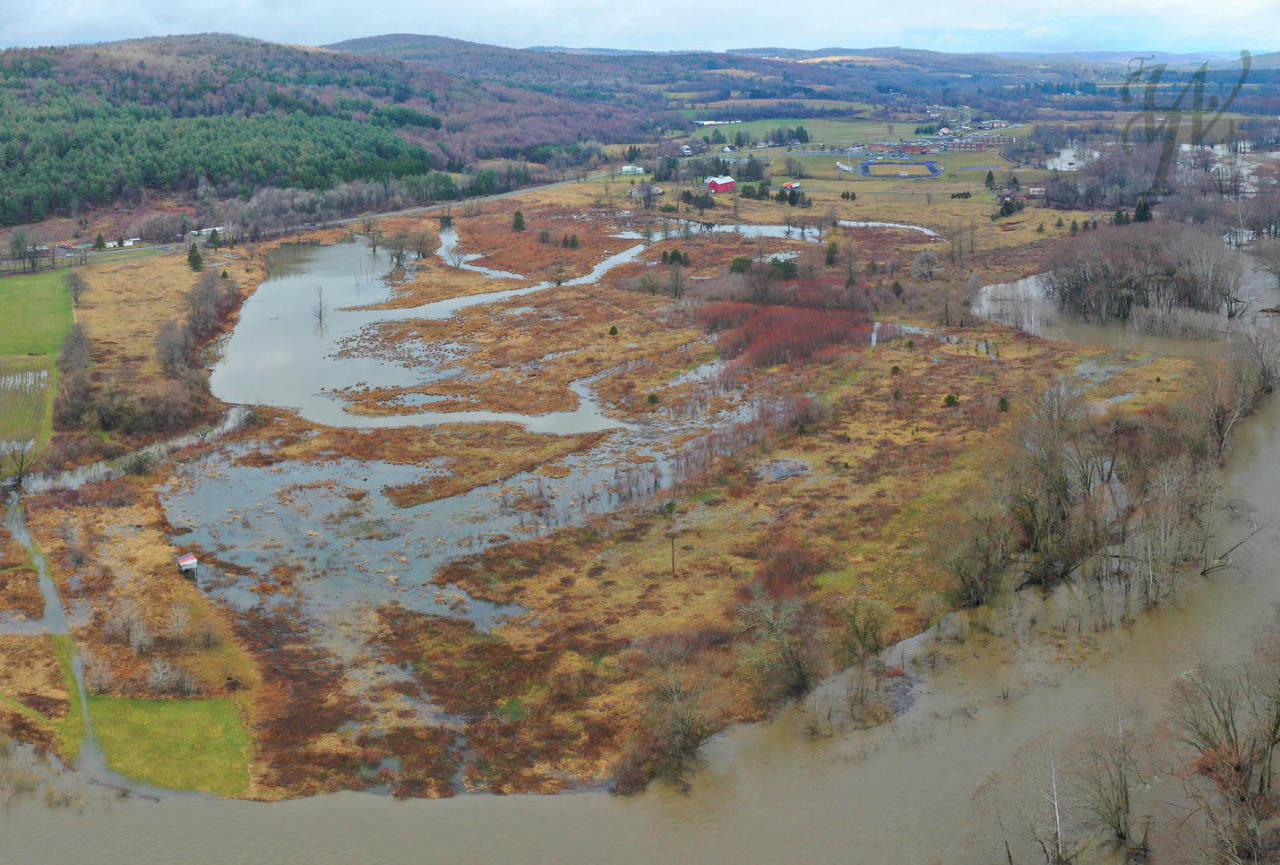 Nature’s Sponge: Floodplain Wetlands in Action | The Wetland Trust