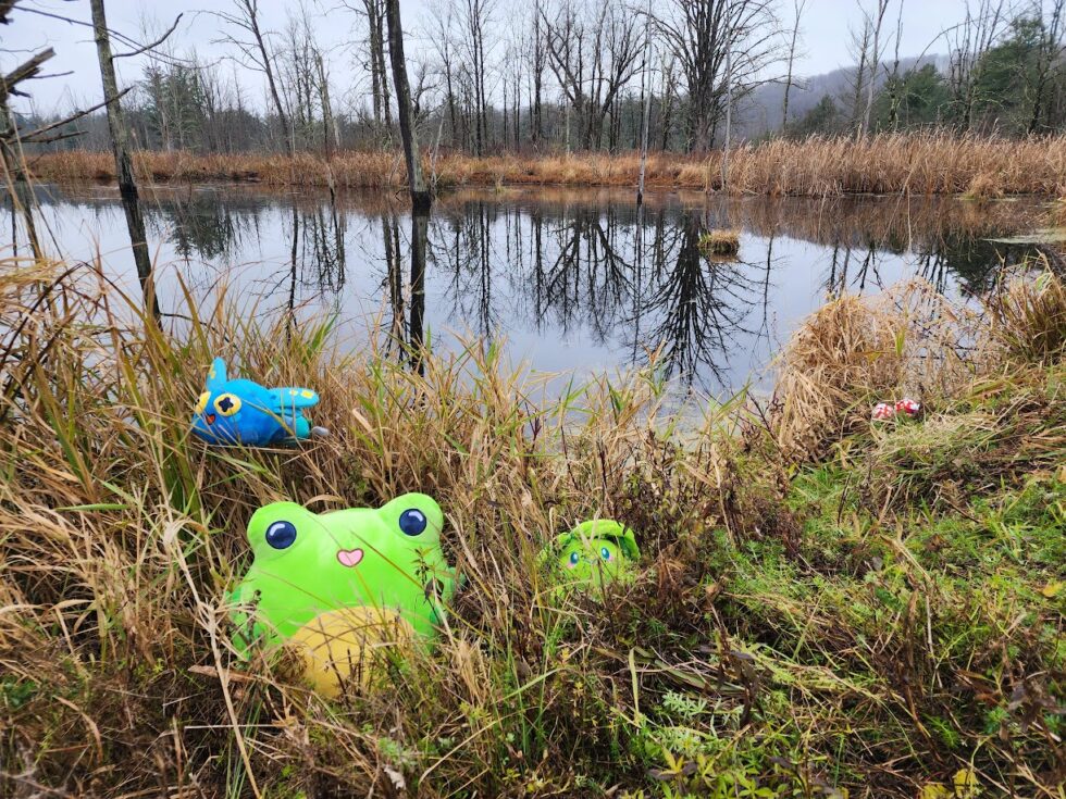 Slime Story Partnership | The Wetland Trust